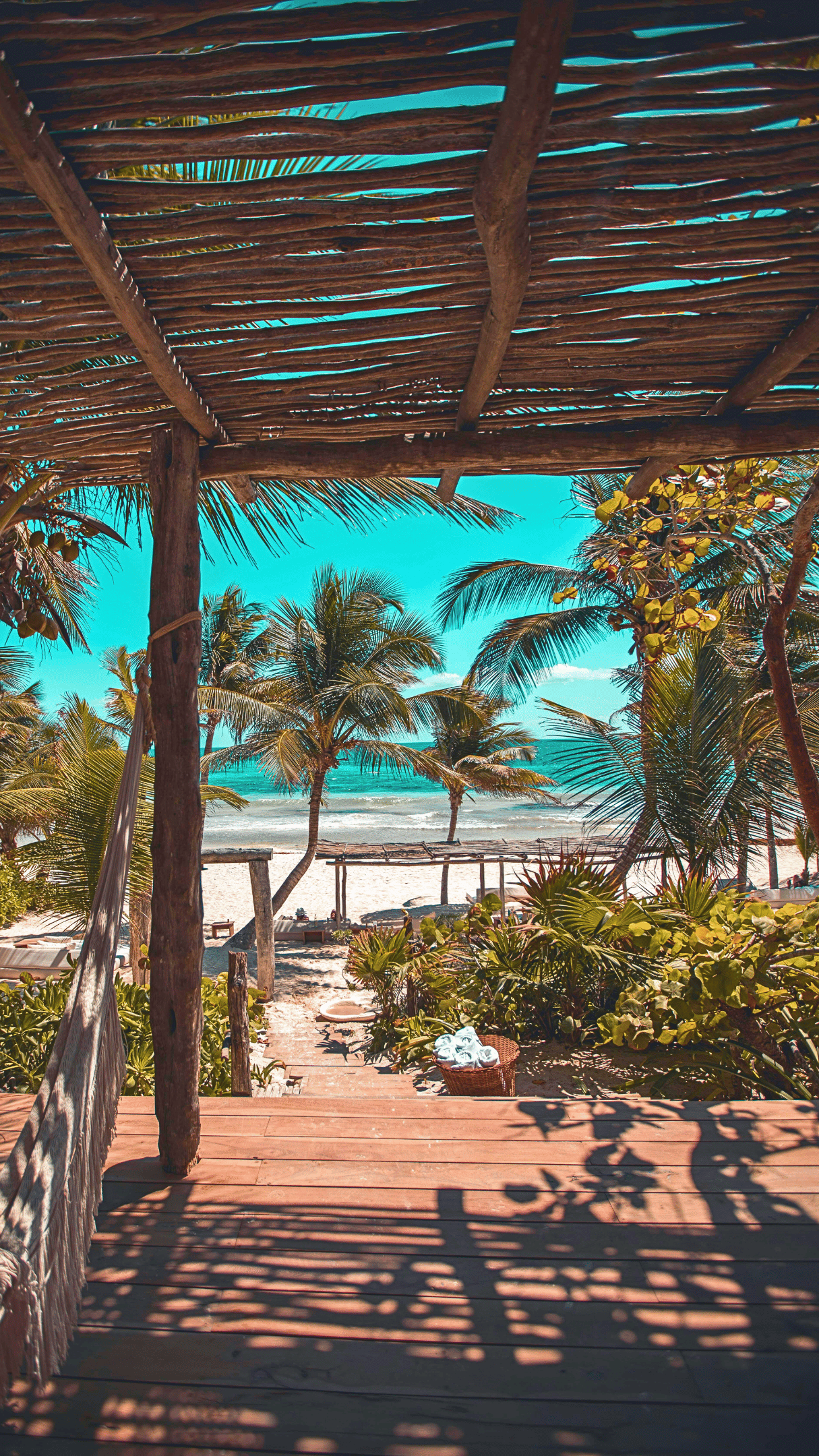 Wellness Holiday – Yourdestinationsolution